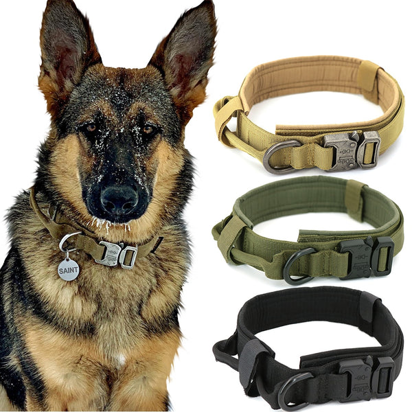 Dog Collar – Vibrational Alignment